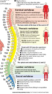 The effects of a spinal cord injury - PressReader