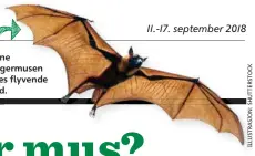 Er elefanter redde for mus? - PressReader