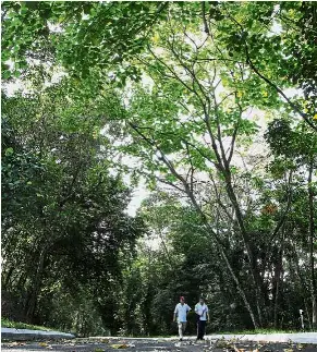 Do more to preserve city’s green lungs - PressReader