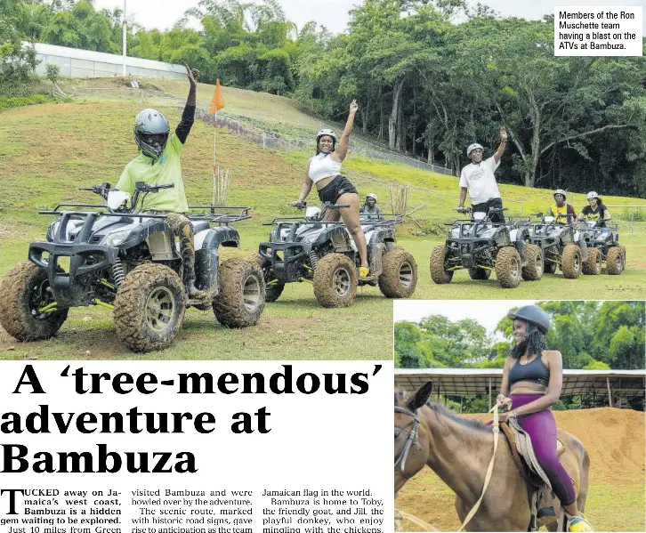 A ‘tree-mendous’ adventure at Bambuza - PressReader