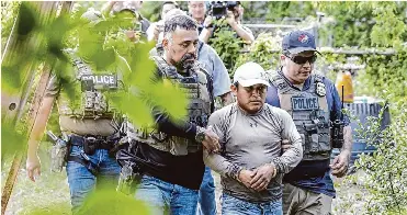 Man who climbed tree in S.A. to escape ICE agents facing deportatio­n - PressReader