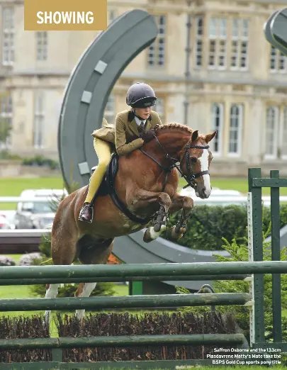 Mate has the last laugh - PressReader