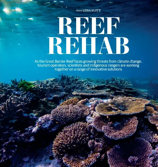 REEF REHAB - PressReader