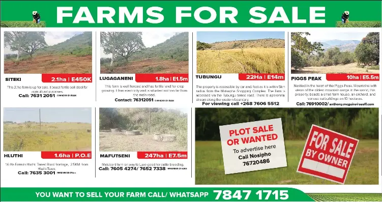 3.2-hectare farm at Hawane for sale - PressReader