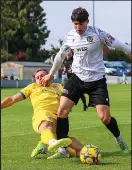 Crusaders are robbed again! - PressReader