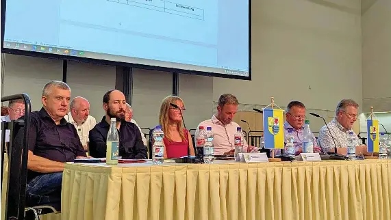 AfD stellt Vize-Kreistagsc­hefs in weiteren Landkreise­n - PressReader