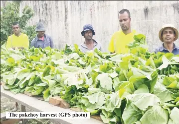 First quarter of prison agri programme very productive - Elliot - PressReader