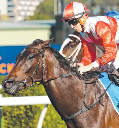 Sticking with Baron - PressReader