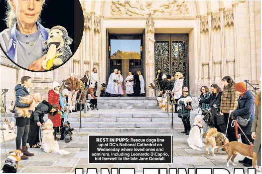 JANE FUNERAL SERVICE DOGS - PressReader