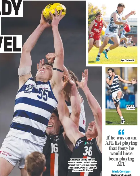 CATS READY TO GO TO NEXT LEVEL - PressReader
