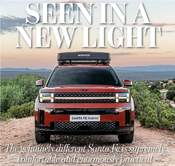 SEEN IN A NEW LIGHT - PressReader