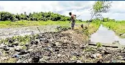 ‘Enteng’ hits Bicol agri sector hard - PressReader