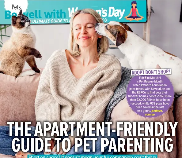 THE APARTMENT-FRIENDLY GUIDE TO PET PARENTING - PressReader