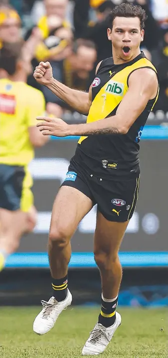 Dusty hurt but Tigers triumph - PressReader