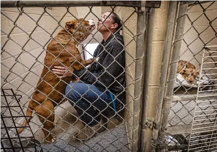 Seeking to control pet population - PressReader