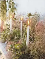 The rejuvenati­ng Power of flowers - PressReader