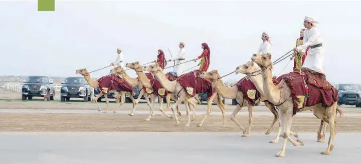 Makhayil of Royal Camel Corps wins HM Cup - PressReader