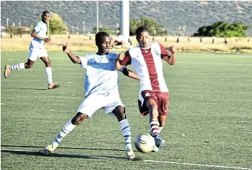 Swallows sweat it to win - PressReader