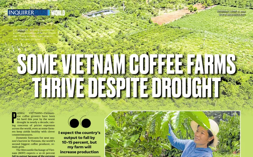 SOME VIETNAM COFFEE FARMS THRIVE DESPITE DROUGHT - PressReader