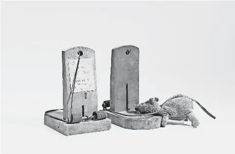 For rat trappers, an ethical dilemma - PressReader