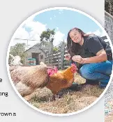 Creature comforts at home - PressReader