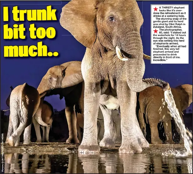 I trunk bit too much.. - PressReader