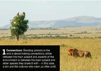 USING A WIDE-ANGLE - PressReader