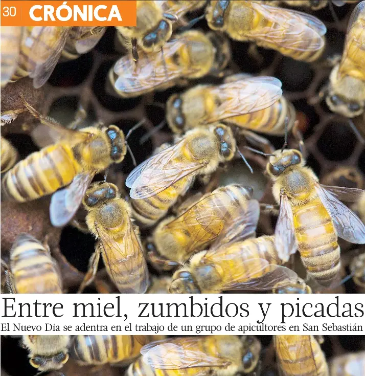 La vida de un apicultor - PressReader