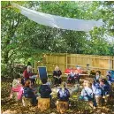 Tree-mendous fun - PressReader