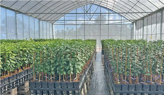 Greenhouse to Help Farmers - PressReader