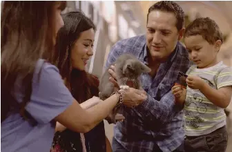 Feeding a better future for pets - PressReader