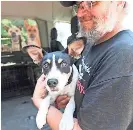 Dogs get moment in the spotlight at New York fashion event - PressReader