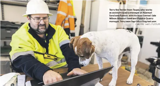Most of us want dogs in our workplaces - PressReader