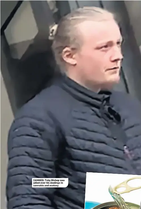 ‘Maverick the Speedy’ jailed for smuggling drugs from Germany hidden in ...