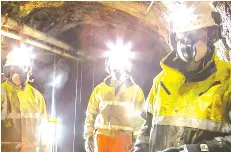 RioZim Limited gold production surges 13pc - PressReader