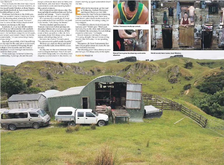 Hard-working shearers living the dream - PressReader