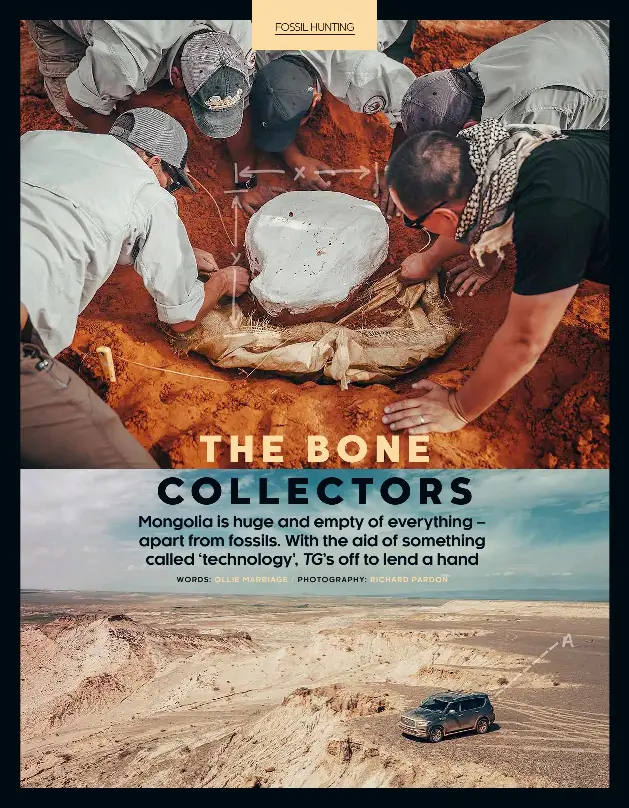 Dino hunting - PressReader