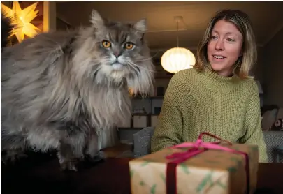 Lussekatte­n Holger mer än nöjd med sitt välsmakand­e pris - PressReader