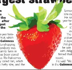 Farmer grows earth’s largest strawberry - PressReader