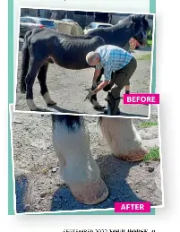 RESCUE UPDATE - PressReader