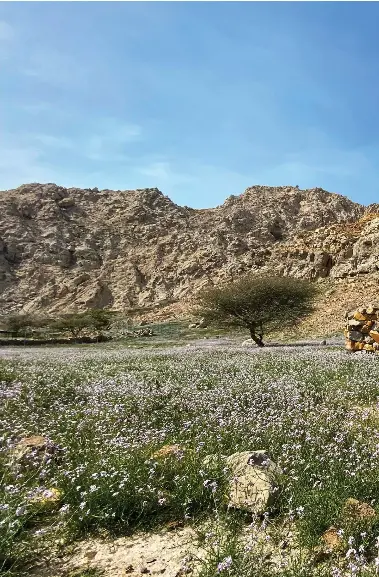 UAE TOUR GUIDE WHO GOES OFF BEATEN TRACK - PressReader