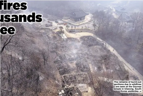 SoKor wildfires kill 24; thousands forced to flee - PressReader