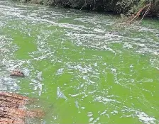Urgent health warning issued for Hennops River due to sewage pollution ...