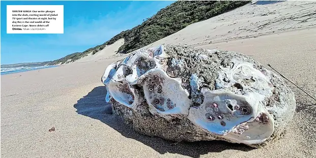 Who wins, the drama-queen sports jocks or the blood-on-the-stage actors? - PressReader