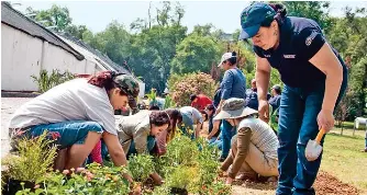 Sedema impulsa polinizaci­ón con curso gratuito a mujeres - PressReader