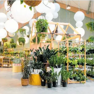 HAPPY DAYS - PressReader