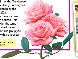 Your Future - PressReader