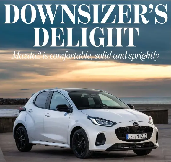 DOWNSIZER’S DELIGHT - PressReader