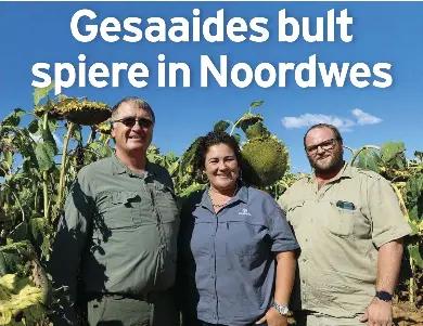 Gesaaides bult spiere in Noordwes - PressReader