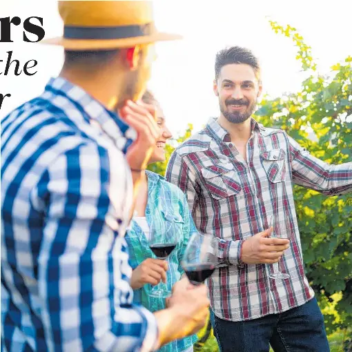 SOBER TOURISM - PressReader